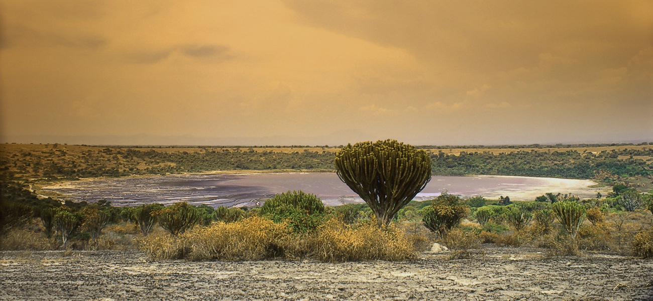 Home | KASESE DISTRICT