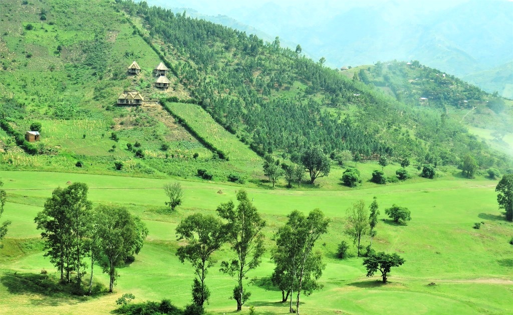 Home | KASESE DISTRICT