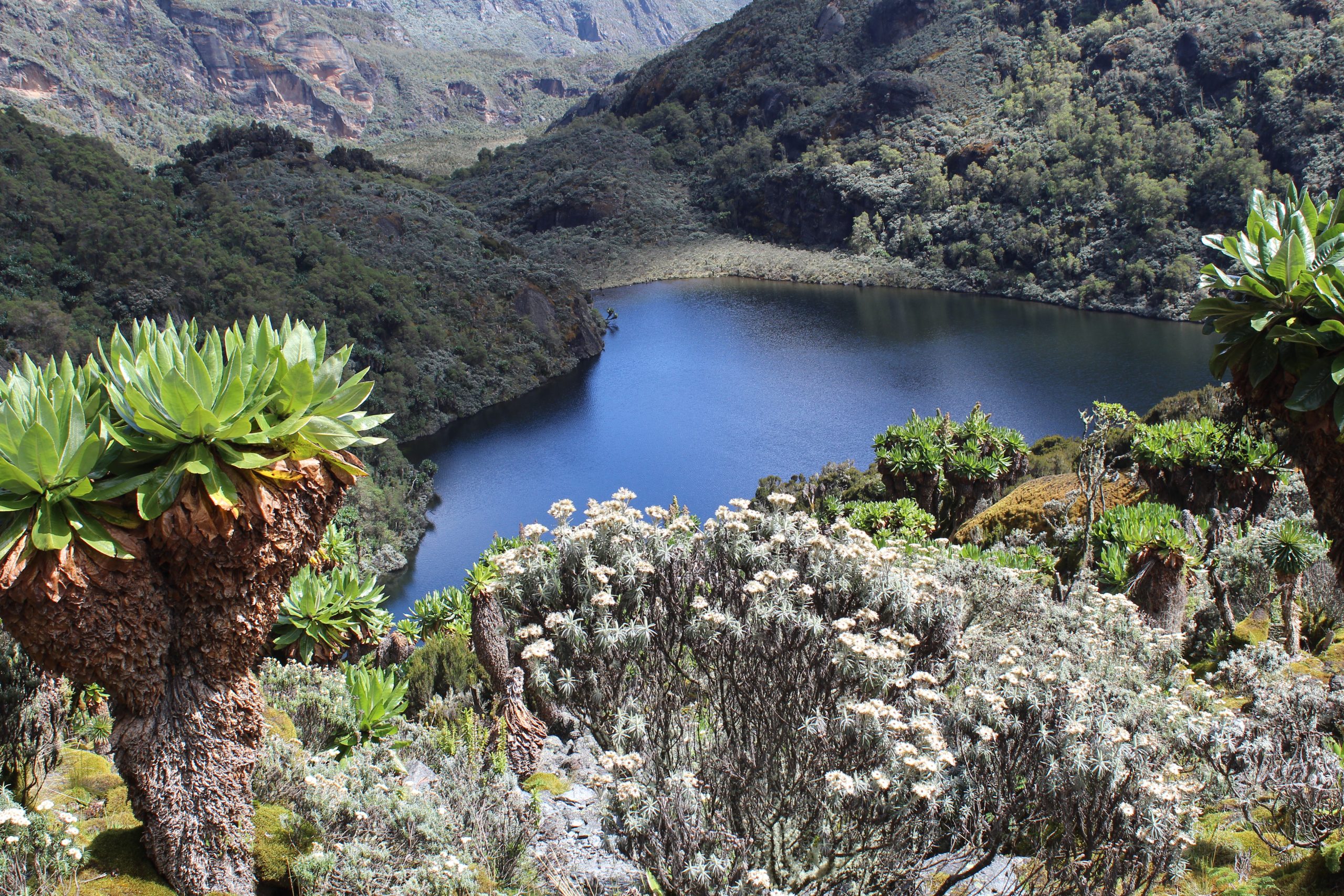 Home | KASESE DISTRICT
